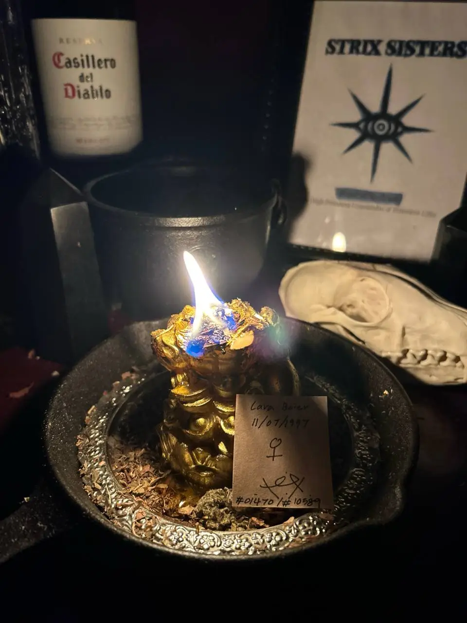 Lara Beier – STRIX SISTERS